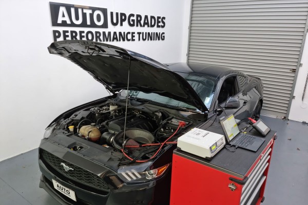 Ford Performance Tuning Auckland | Auto Upgrades